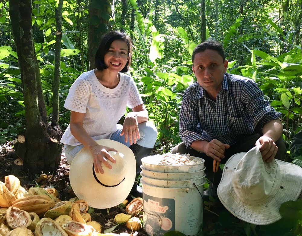 Cárdenas Chocolate – The Chocolate Dispensary